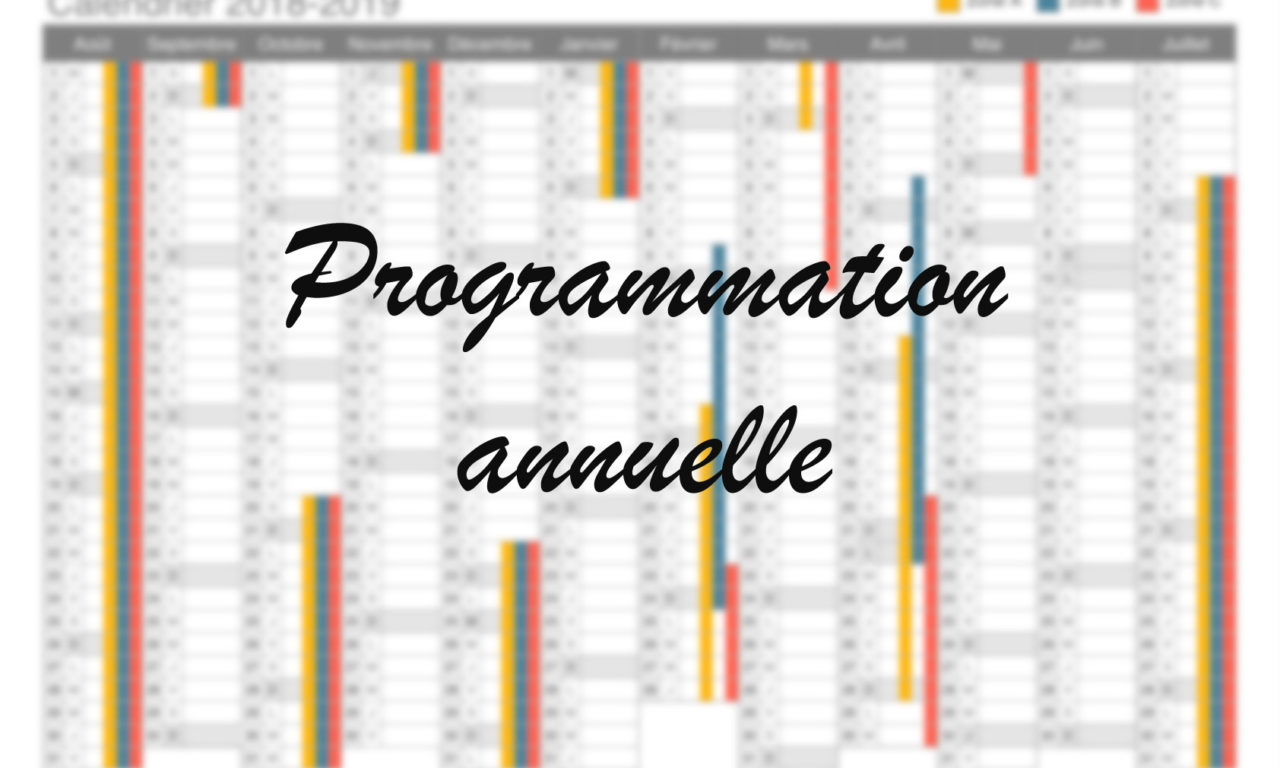 Programmation annuelle Terminale TC - Clio Lycée